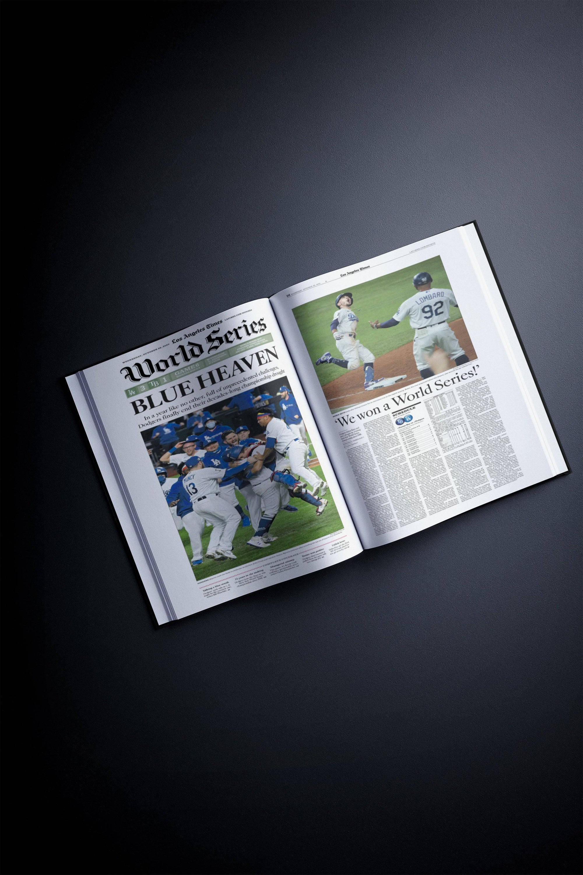 Baseball History Newspaper Books | Historic Newspapers